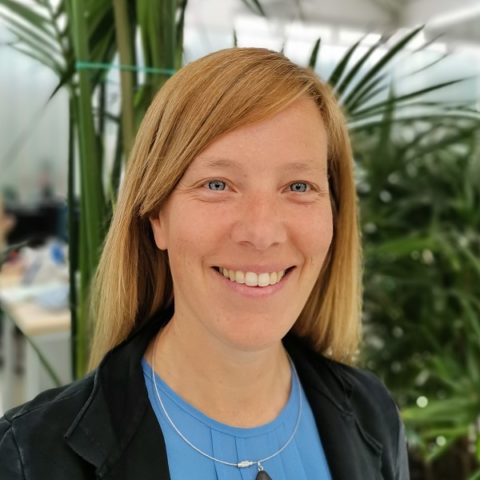 Multidisciplinary skills for environment: our team | Montana SpA